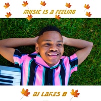 DJ Lakes B - Music Is a Feeling | TikTok