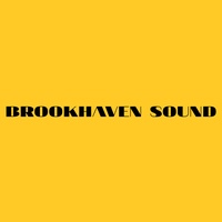 Brookhaven Sound created by Apankflowers | Popular songs on TikTok