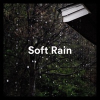 Soft Soundscapes - Soft Rain | TikTok
