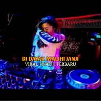 DJ Anonim - Dj Dayak Malihi Janji Viral Tiktok Terbaru 2023 | TikTok