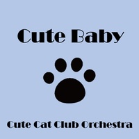 Cute Cat Club Orchestra - Cute Baby | TikTok