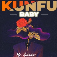 MR.AUTRIDGE - Kunfu Baby | TikTok