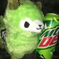 Luvwillow_ - edgy | TikTok