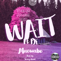 Theme Musiq RSA - Wait | TikTok