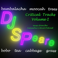 DJ SPeare - A Step for Linus (a tribute to Charles Shultz) | TikTok