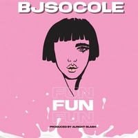 Bj So Cole - FUN | TikTok