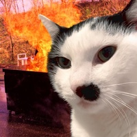 Terminally Silly - boogercore | TikTok