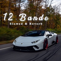 LEVIN - 12 bande (Slowed & Reverb) | TikTok
