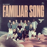 SEU Worship & David Ryan Cook - Familiar Song | TikTok