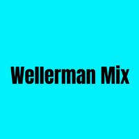 Dj Waller Viral - Wellerman - Mix | TikTok