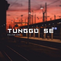 Felish CHC - Tunggu Se | TikTok