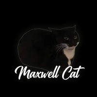 Music Factory - Maxwell Cat - Remix | TikTok