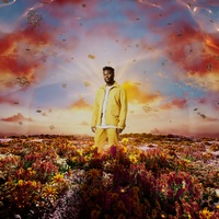 Nonso Amadi - Kilimanjaro | TikTok