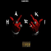 Gaboro - HARKI | TikTok