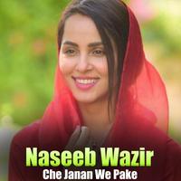 Naseeb Wazir - Wa Ma Che Da Sta Sara Yari Shwa | TikTok