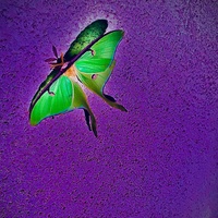 Sleeperville - Souf Side | TikTok