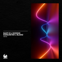 Basti M & Dominik Koislmeyer & Blaikz - Wire | TikTok