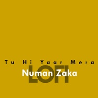 Numan Zaka - Tu Hi Yaar Mera LOFI | TikTok