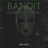 Baby Bluey - Bandit | TikTok