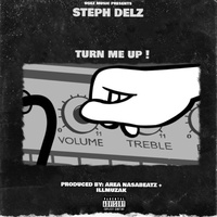 STEDEL - Turn Me Up - Radio Mix | TikTok