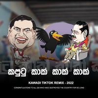 NIKZO - Kaputu Kak Kak Basil | TikTok