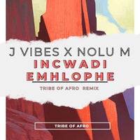 Tribe of Afro - iNcwadi Emhlophe by J-Vibes & Nolu M (Afro House ...