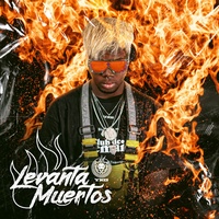 YILBERKING - Levanta Muertos | TikTok
