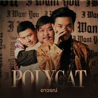 polycat - อาวรณ์ | TikTok