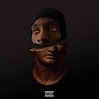 Middmann - DEMON SYMPHONY | TikTok