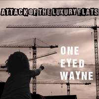 One Eyed Wayne - One Two Three Four | TikTok