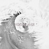 ycela - DANDELION | TikTok