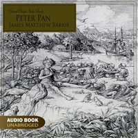 Eternal Classic Audio Books - Peter Pan - Chapter 17 - When Wendy Grew ...