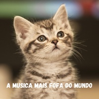 Bruno Portinho Trilhas para filmes - A Musica Mais Fofa do Mundo | TikTok
