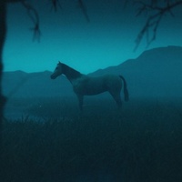 dunsky & dksh - Blue Nights | TikTok