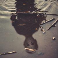 Diggy Graves - Pac Ave | TikTok