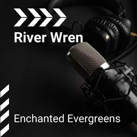 River Wren - I Never Knew | TikTok