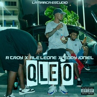 Elerretroy - QLEO | TikTok