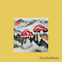Elias Runolfsson - The Wind Carries Us | TikTok