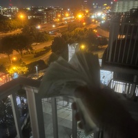 Jripey - Whats Da Word | TikTok