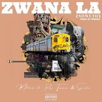 Yizo Mthizo - Zwana La (Soweto) (feat. Rev Tumza) - Speeka Remix | TikTok