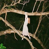 Mr Finn - Music To Follow Behind | TikTok