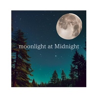 1950sin - moonlight at Midnight | TikTok