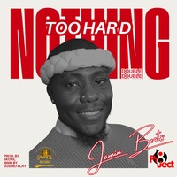 Jamin Beats(AfricaKingDrip) - Nothing Too Hard | TikTok