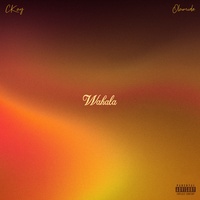 CKay & Olamide Adedeji - Wahala (feat. Olamide) [Sped Up] | TikTok