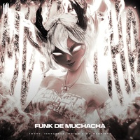 McMagrinho & Mc Gw - FUNK DE MUCHACHA - ULTRA SLOWED | TikTok