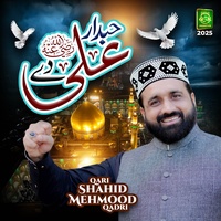 Qari Shahid Mehmood Qadri - Hubdar Ali De | TikTok