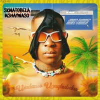SKMATOBELA MSHAYWASO - Umlando (feat. Dr Weps & Msizi Da Vocalist) | TikTok
