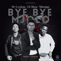 EL'Shep - Bye Bye Mjolo | TikTok