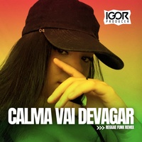 ɪɢᴏʀ ᴘʀᴏᴅᴜᴄᴇʀ - CALMA VAI DEVAGAR - Reggae Funk Remix | TikTok