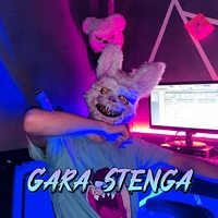𝗥𝗶𝗲𝗹 𝗣𝗮𝗻𝗴𝗸𝗲𝘆 - Gara Stenga | TikTok